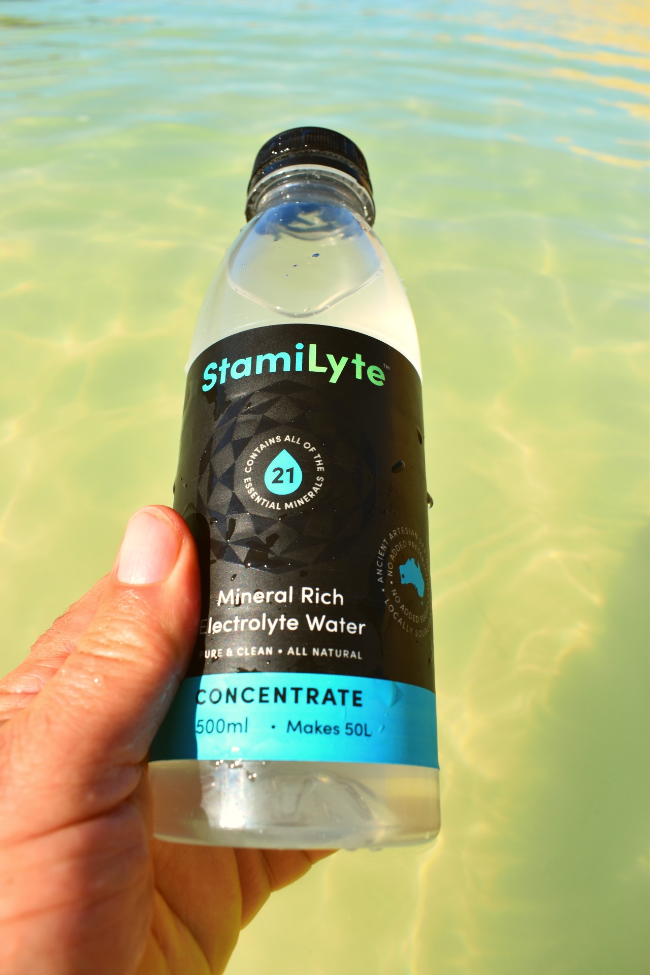 How StamiLyte Could Strengthen Your Immune System - StamiLyte Super ...